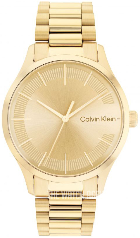 25200038 Calvin Klein Iconic | TheWatchAgency™